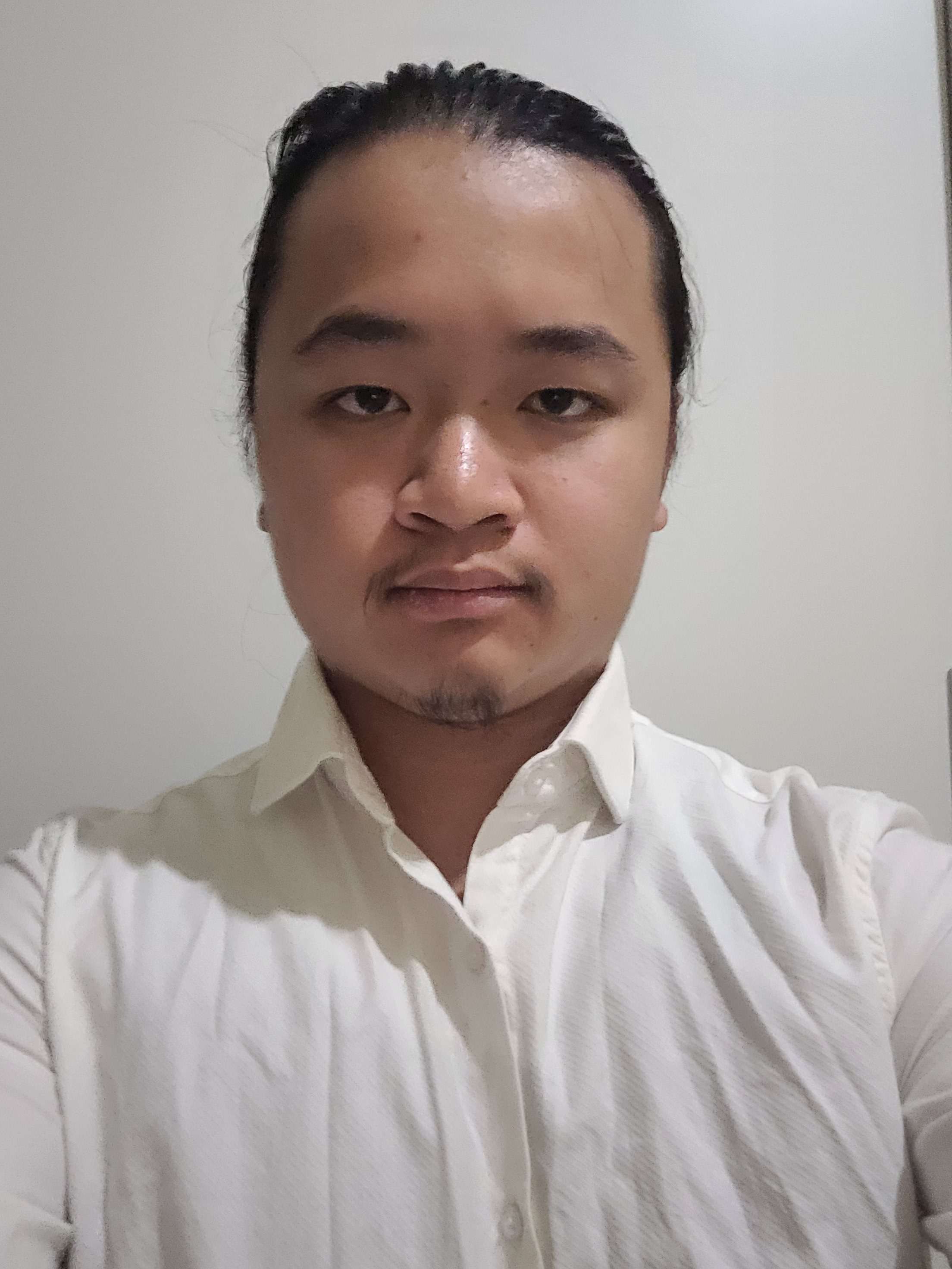 David Nguyen's Professional Portfolio